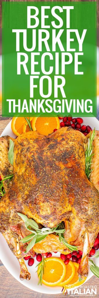 The Best Thanksgiving Turkey Recipe Ever + Video - TSRI