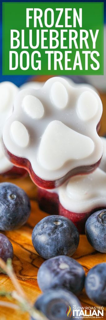 Frozen Blueberry Dog Treats - The Slow Roasted Italian