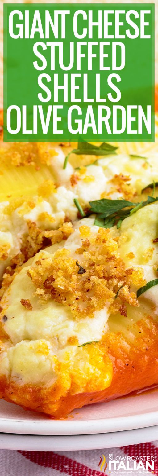 Giant Cheese Stuffed Shells Olive Garden Recipe - TSRI