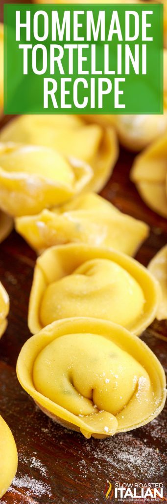 Homemade Cheese Tortellini Pasta Recipe from Scratch - The Slow Roasted ...
