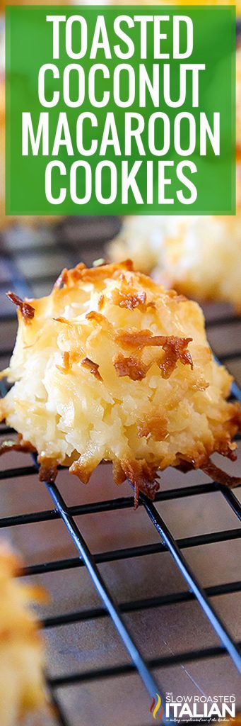 Easy Coconut Macaroons with Condensed Milk + Video - TSRI