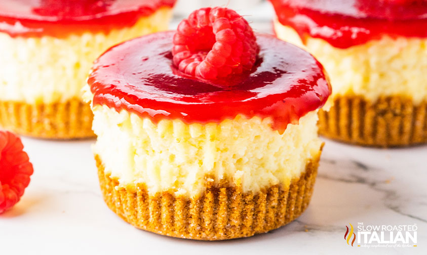 Raspberry Mini Cheesecake Recipe - The Slow Roasted Italian