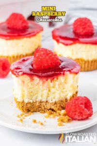 Raspberry Mini Cheesecake Recipe - The Slow Roasted Italian