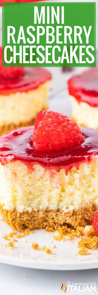 Raspberry Mini Cheesecake Recipe - The Slow Roasted Italian