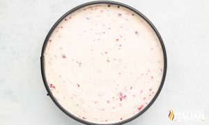 Raspberry Swirl Cheesecake (Easy No Bake Recipe) - The Slow Roasted Italian