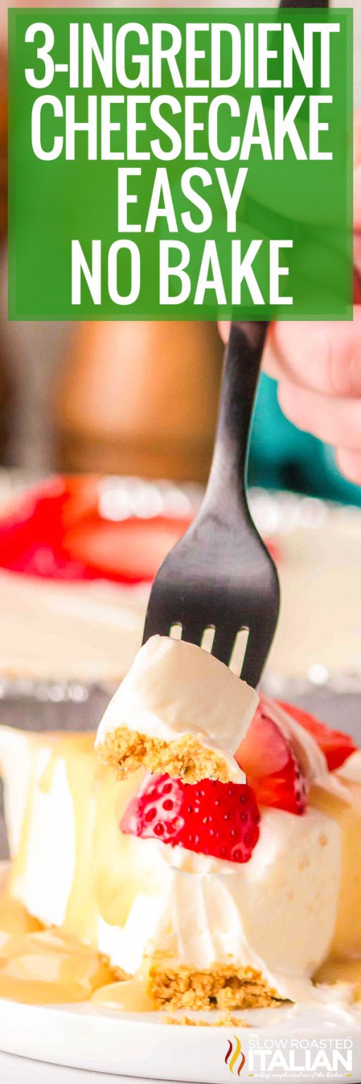 3 Ingredient Cheesecake (Easy No Bake Recipe) - The Slow Roasted Italian