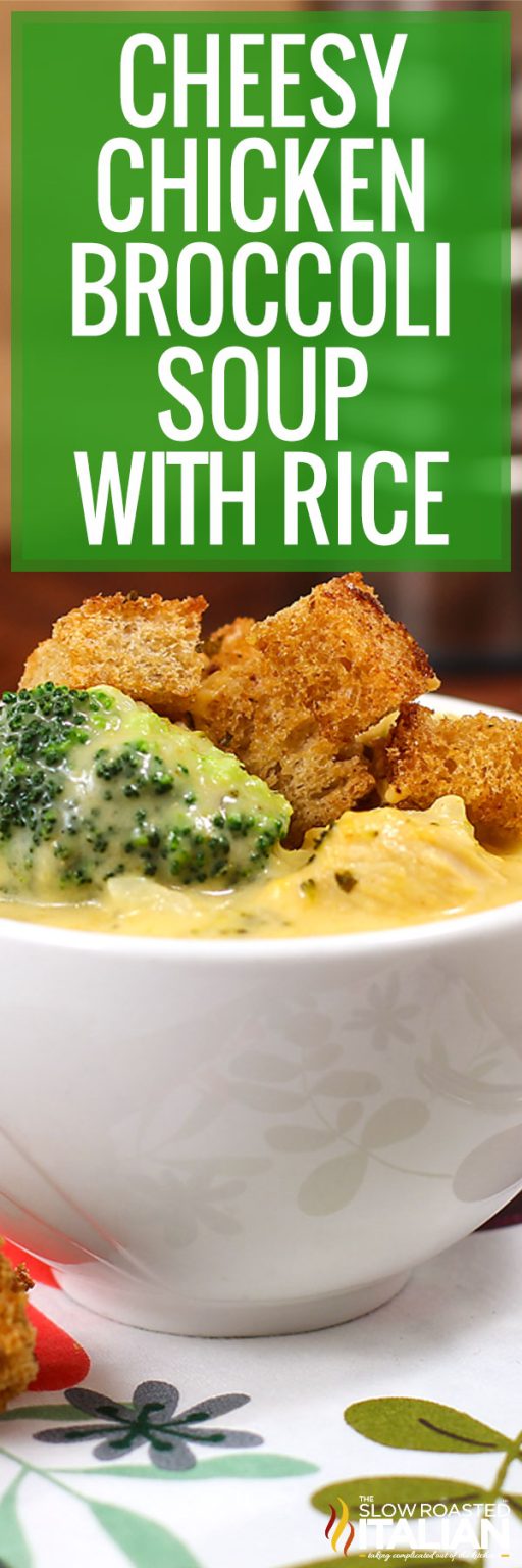 Cheesy Chicken Broccoli Soup with Rice - TSRI