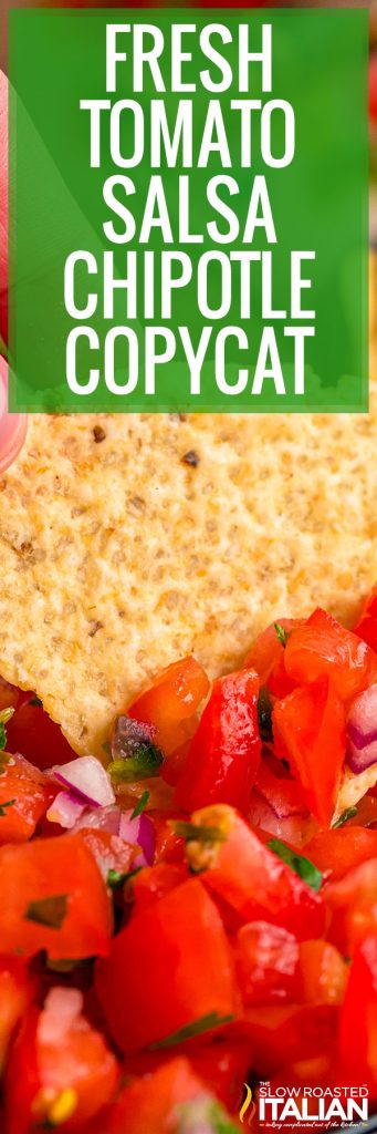 Fresh Tomato Salsa Recipe (Chipotle Copycat!) - The Slow Roasted Italian