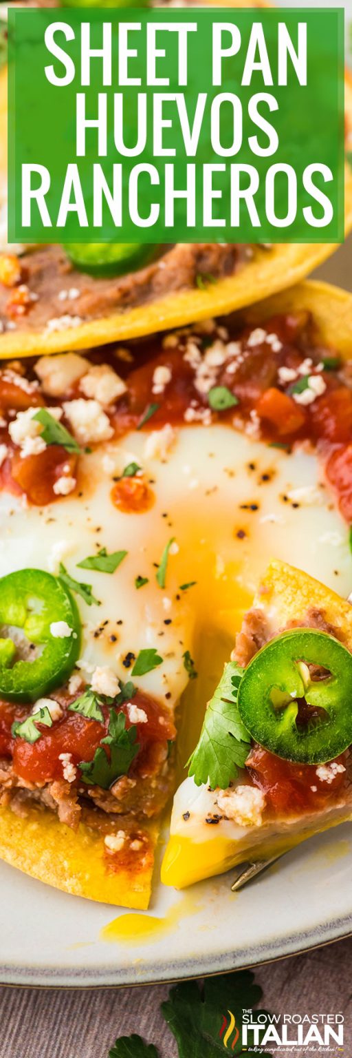 Easy Huevos Rancheros Recipe (Sheet Pan!) - The Slow Roasted Italian