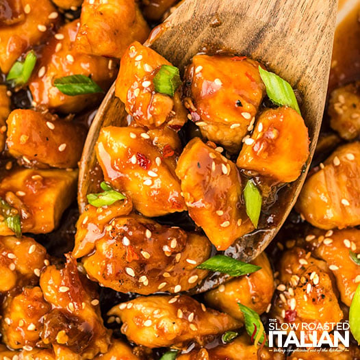 Sticky Honey Garlic Chicken Bites - The Slow Roasted Italian