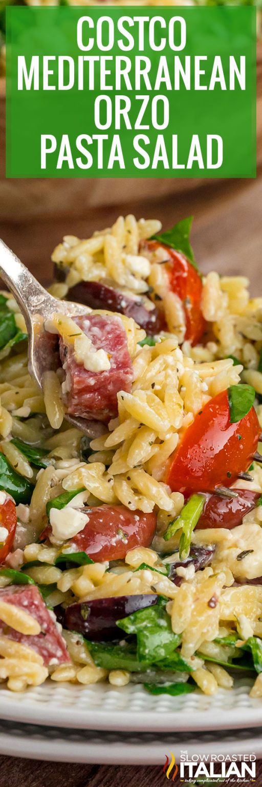 Mediterranean Style Orzo Pasta Salad (Costco Copycat!) - The Slow ...